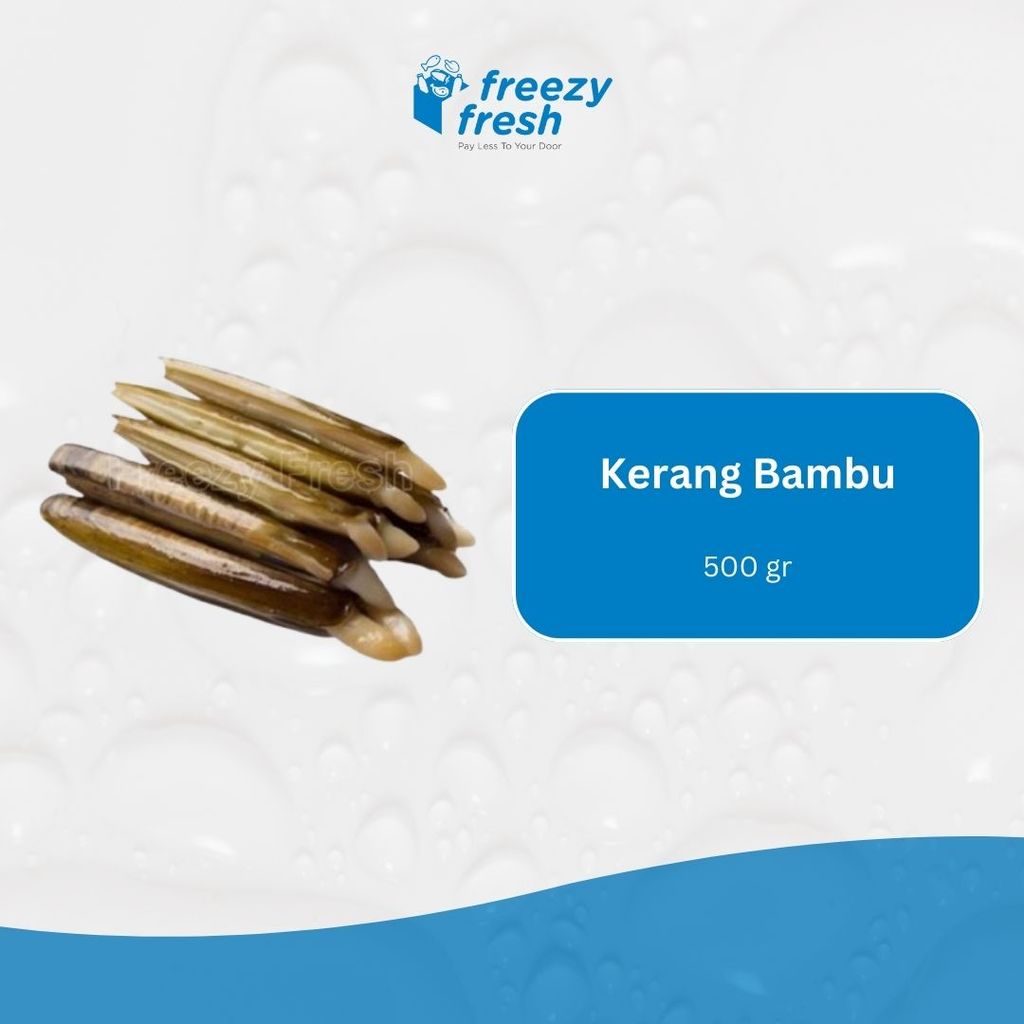 Jual Kerang Bambu / Bamboo Clams | Shopee Indonesia