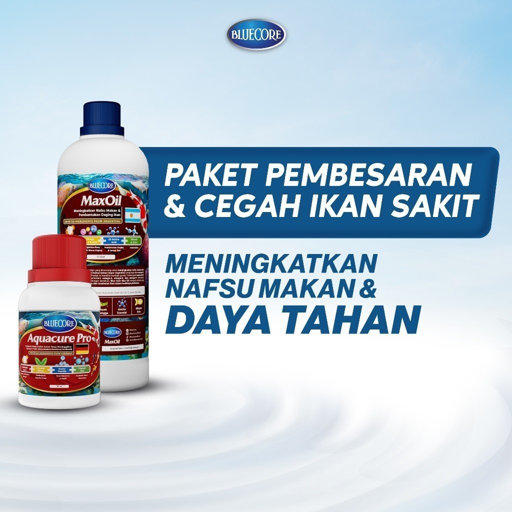 Jual Bluecore Paket Maxoil & Aquacure Pro Vitamin Ikan Penggemuk ...
