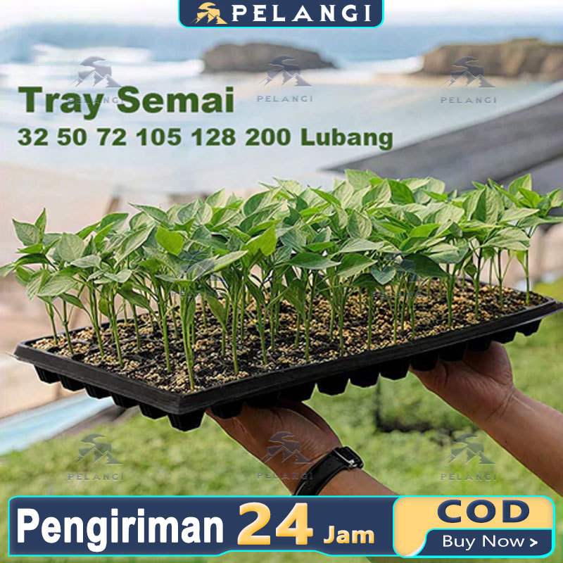 Jual Tray Semai Trai Semai Custom Potray Wadah Semai Skala Hobi ...