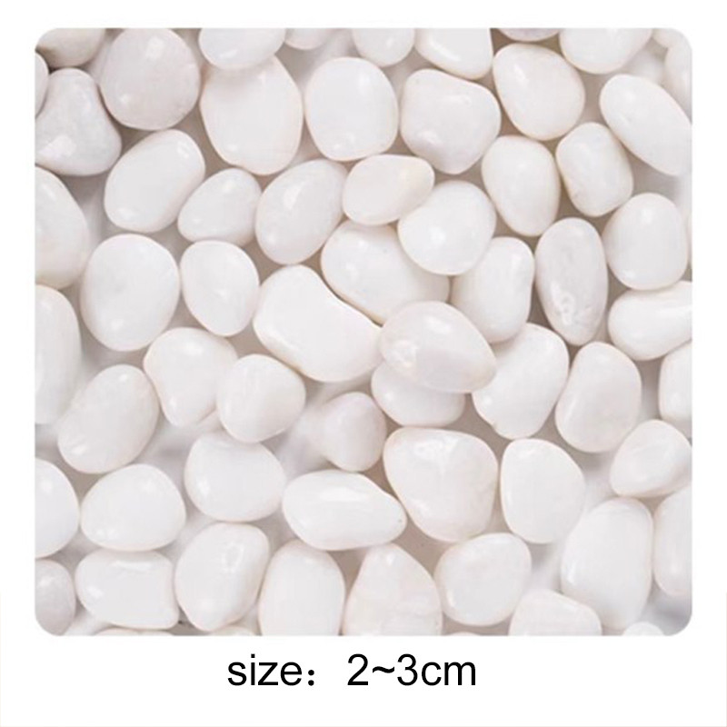 Jual 2~3cm White Pebbles 200/400/600/800g Landscape Design and Road ...