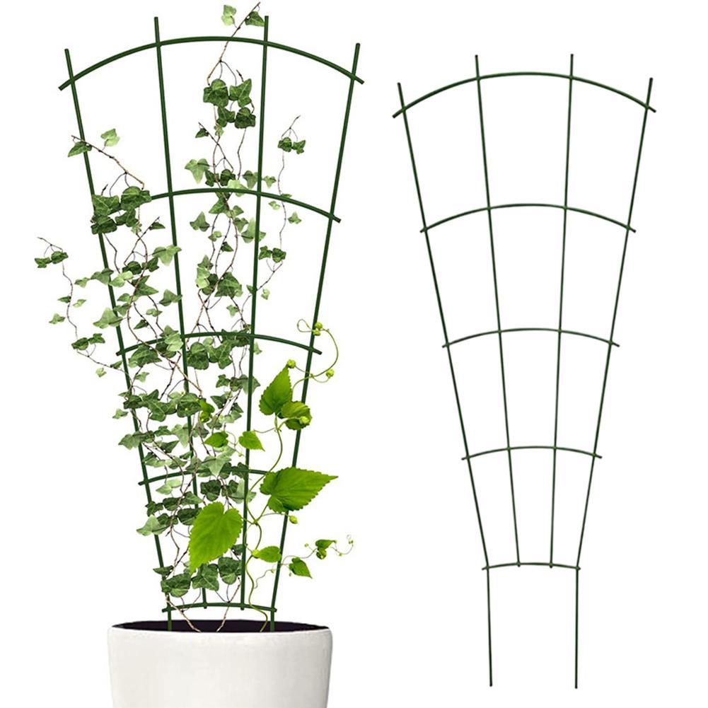 Jual Climbing Support Frame Plant Stake Vine Trellis Metal Supports ...