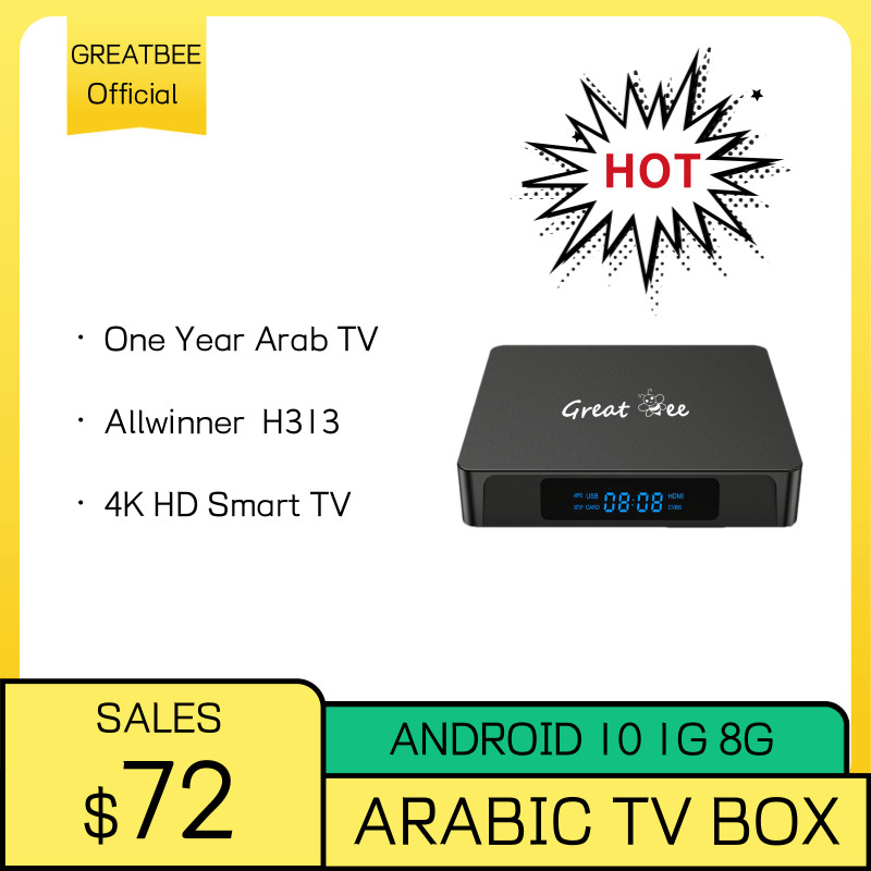 Jual Great Bee Arabic TV Box Allwinner H313 4K Smart TV Set Top Box Mea ...