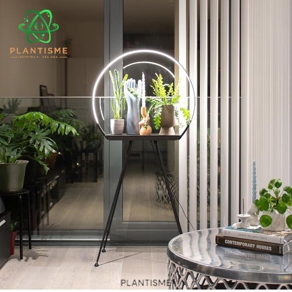 Jual Rak Tanaman – Orbina Ring Light Plant Stand Rak Tanaman Besi ...