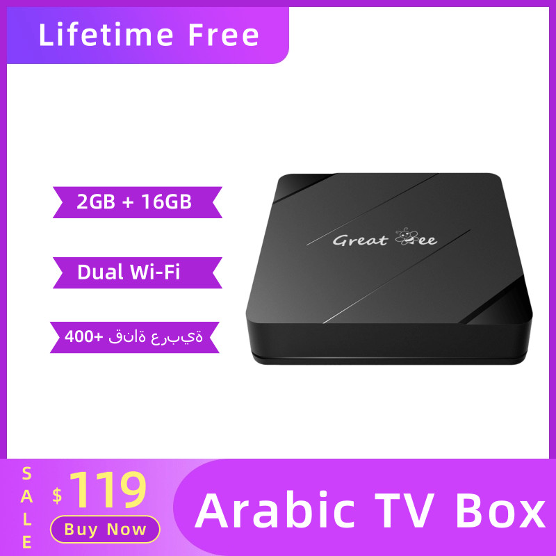 Jual Great Bee Arabic TV Box Android 10 2G 16G Set Top Box Greatbee ...