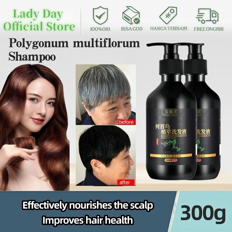 Jual Lady Day Cosmetics - Polygonum multiflorum Shampoo 300ml / Anti ...