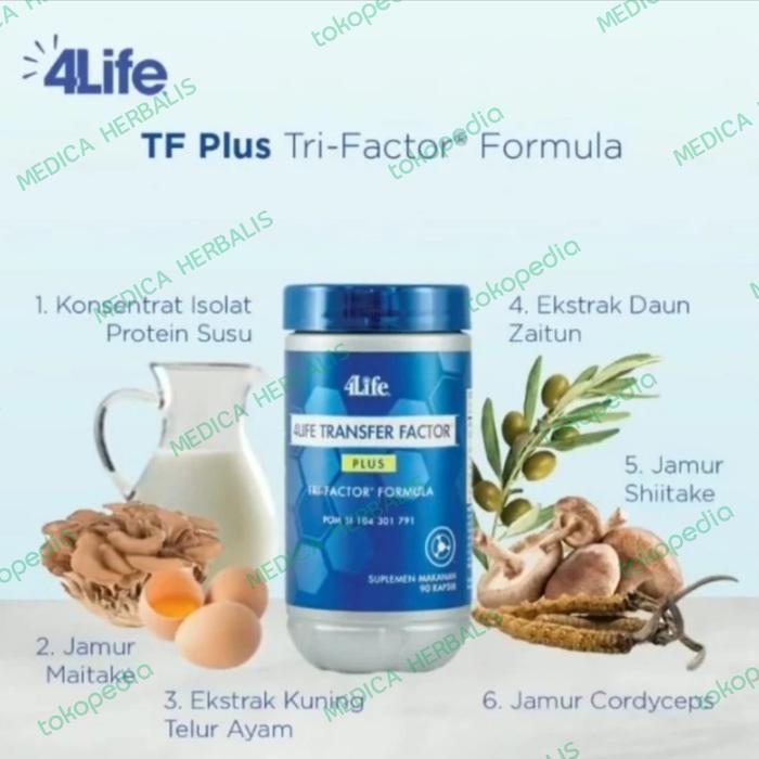 Jual 4LIFE TRF FACTOR PLUS TRI FORMULA - 4LIFE IMUN TUBUH | Shopee ...