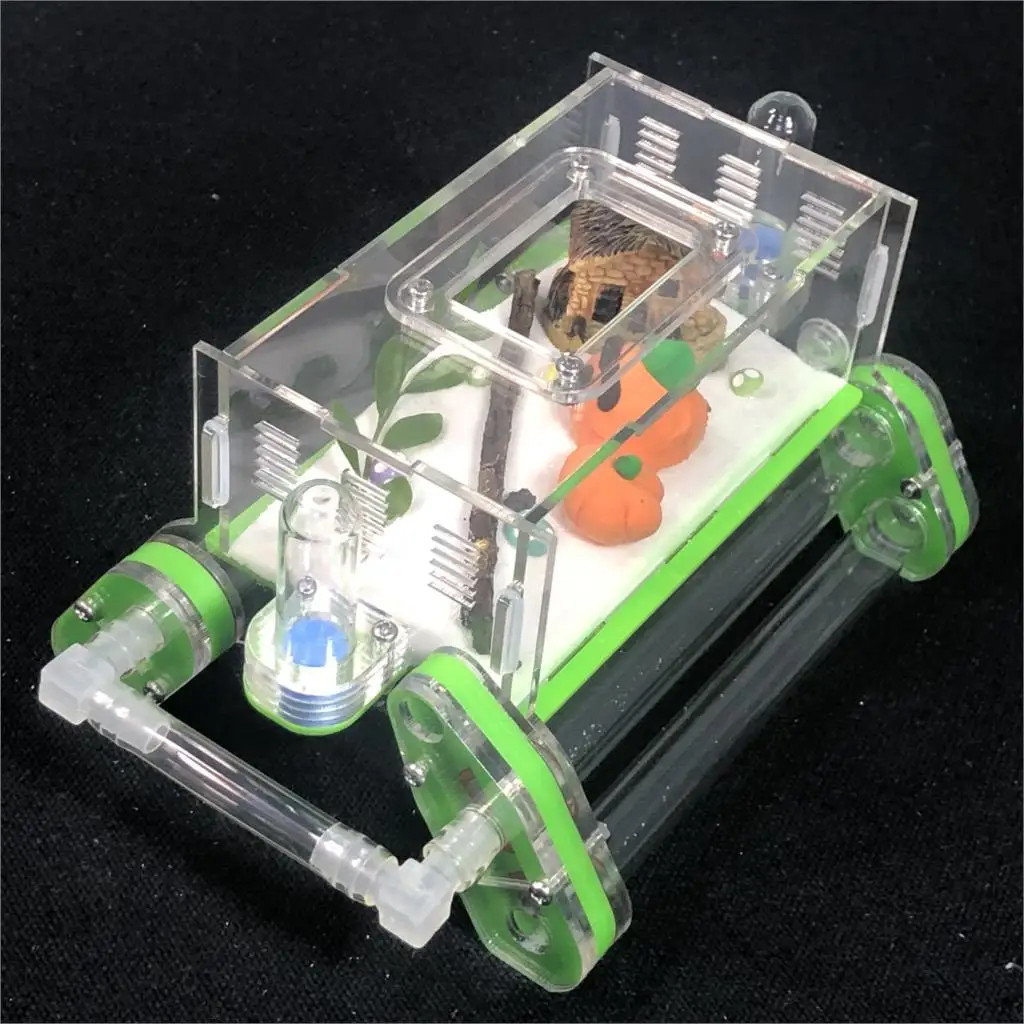 Jual tube connecting Acrylic ant farm maze DURAL Moisture big space Ant ...