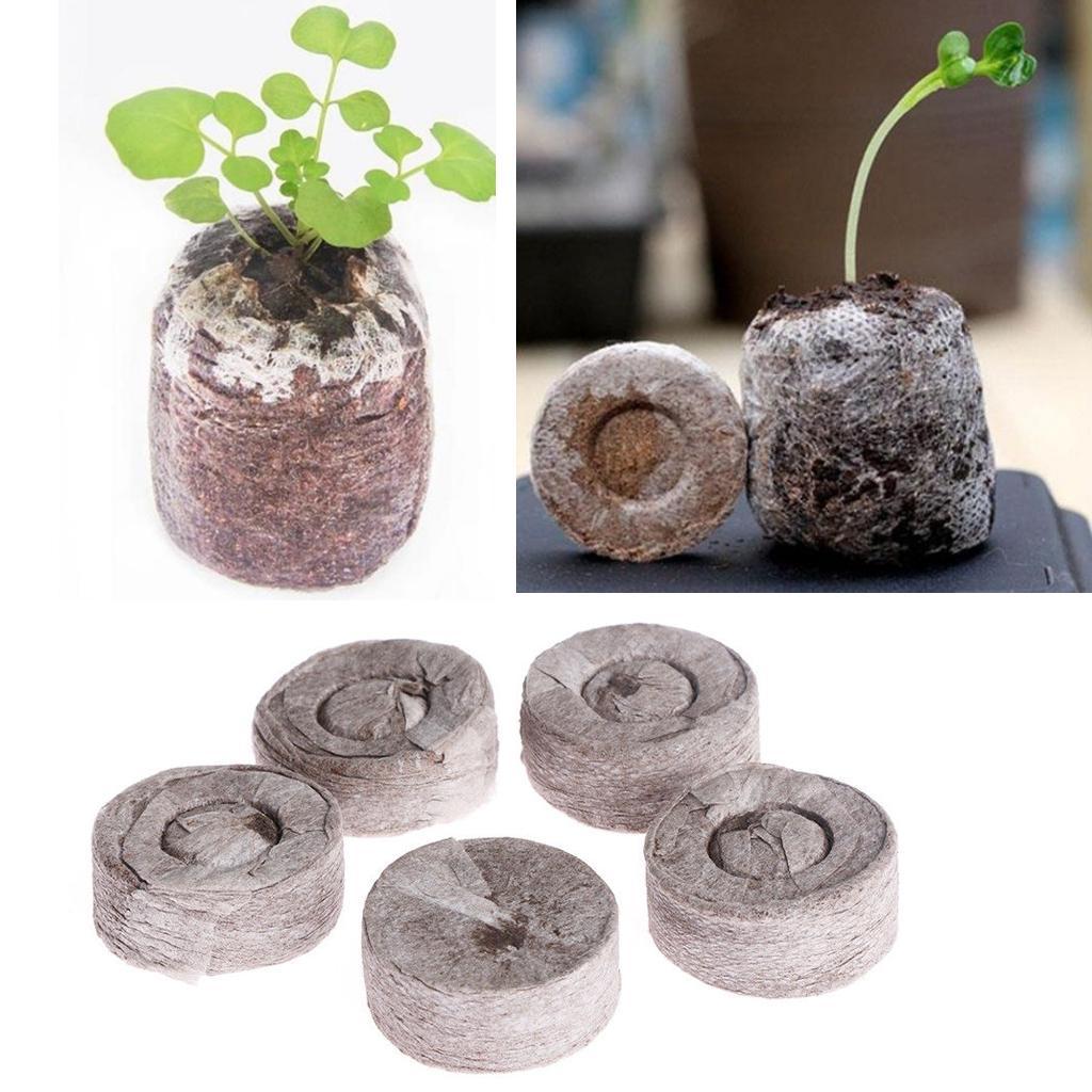 Jual 10/Pack Seedling Soil Block Garden Flowers Planting Seedlings Peat ...