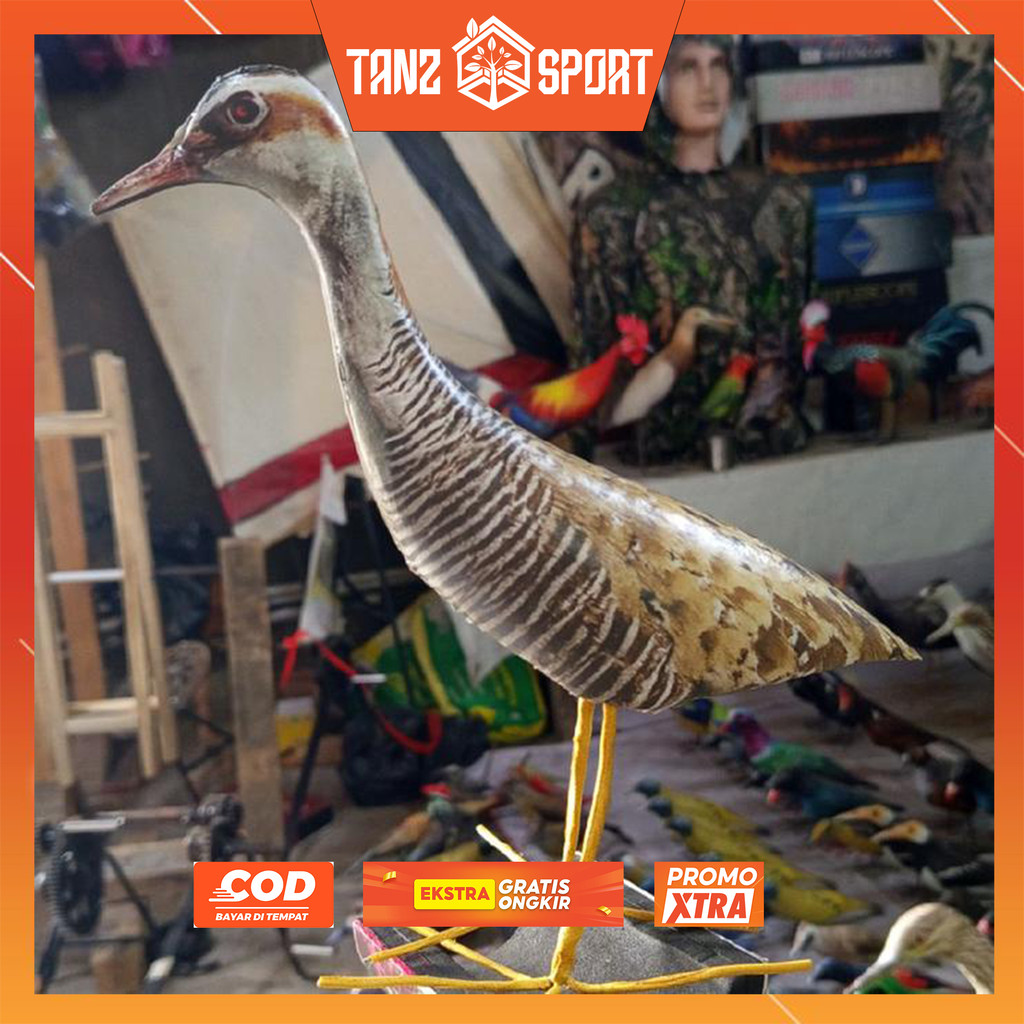 Jual MAINAN BONEKA BURUNG SINTAR WERIS JONTROT MANUK WERIS KALIMANTAN ...