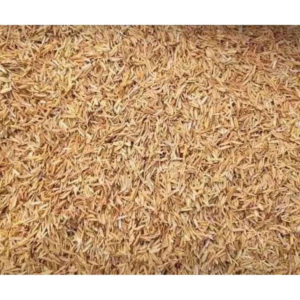 Jual Rice hull/Ipa ng palay per kilo | Shopee Indonesia