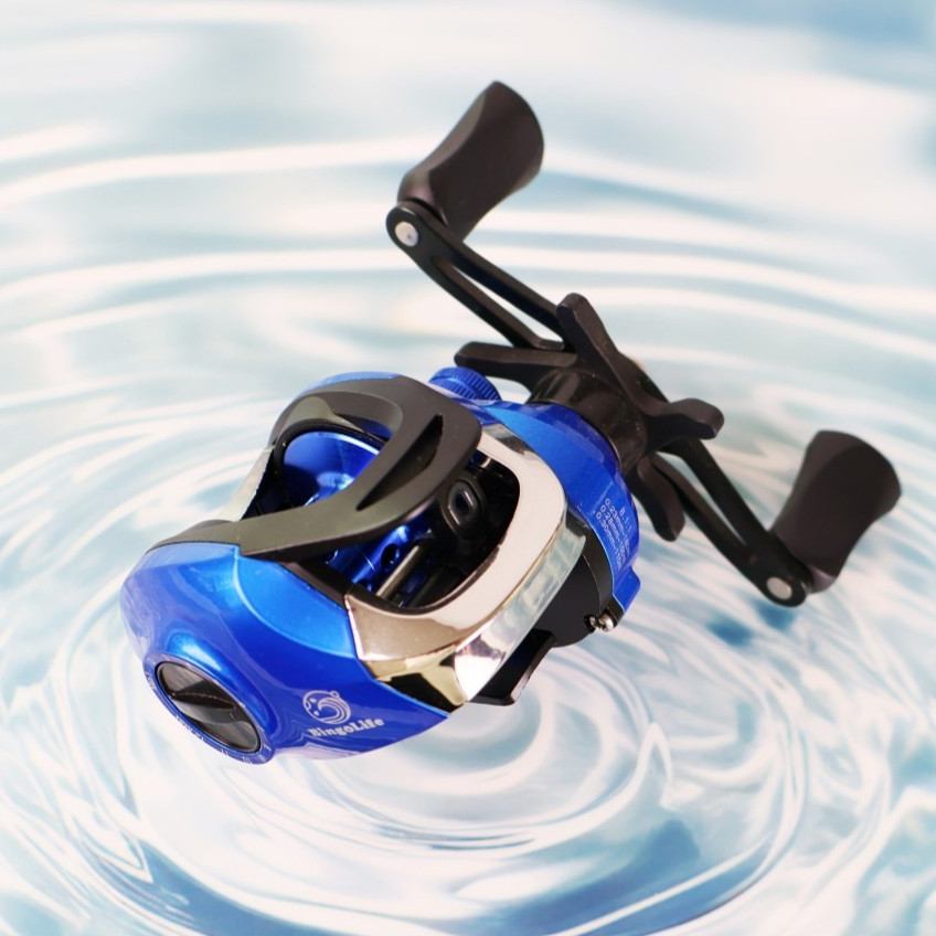 Jual Ikan Toman Biru Terlengkap & Harga Terbaru Juni 2026 | Shopee ...