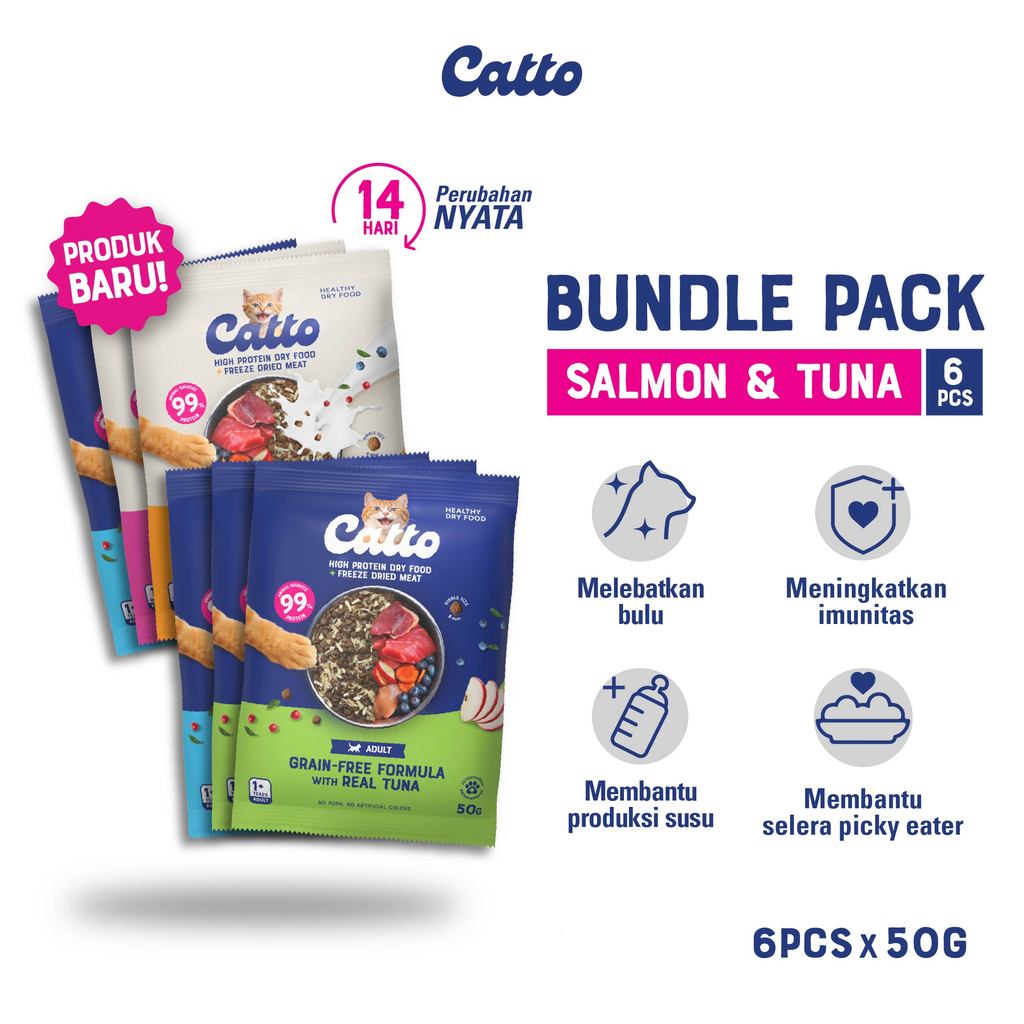 Jual Catto Premium Dry Food - Bundle Complete 50gr x 6pcs | Natural ...