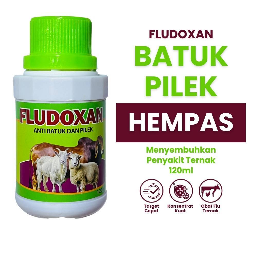 Jual Obat Batuk Kambing - Obat Batuk Sapi - Obat Batuk Domba - Fludoxan ...