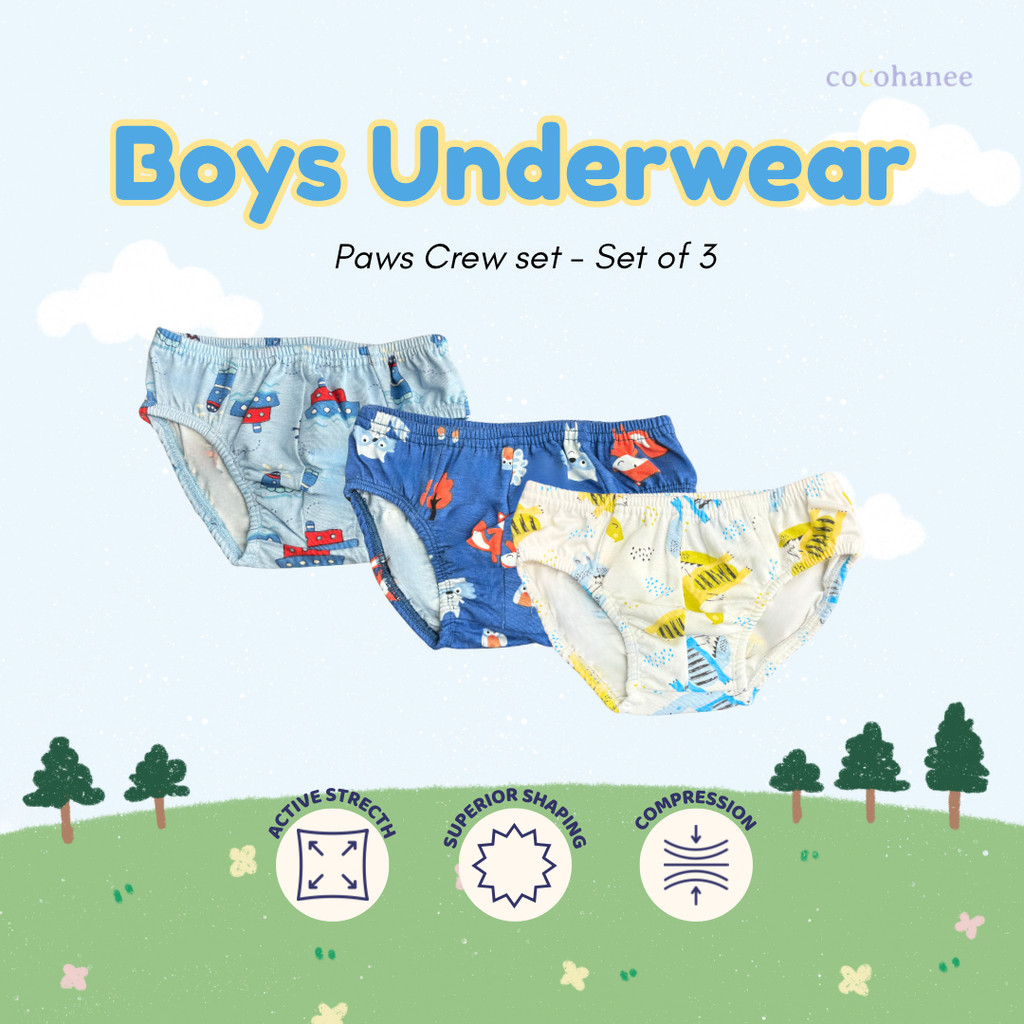 Jual Cocohanee - Paws Crew - Underwear Triangle (3 in 1) - Celana Dalam ...