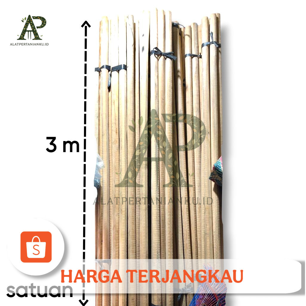Jual GAGANG KAYU DODOS PANAJNG 3 M KAYU DARU DARU ASLI (ALATPERTANIANKU ...