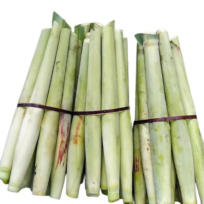 Jual Turubuk/terubuk Sayur/tebu telur/sayur bunga petik dadakan/1kg ...
