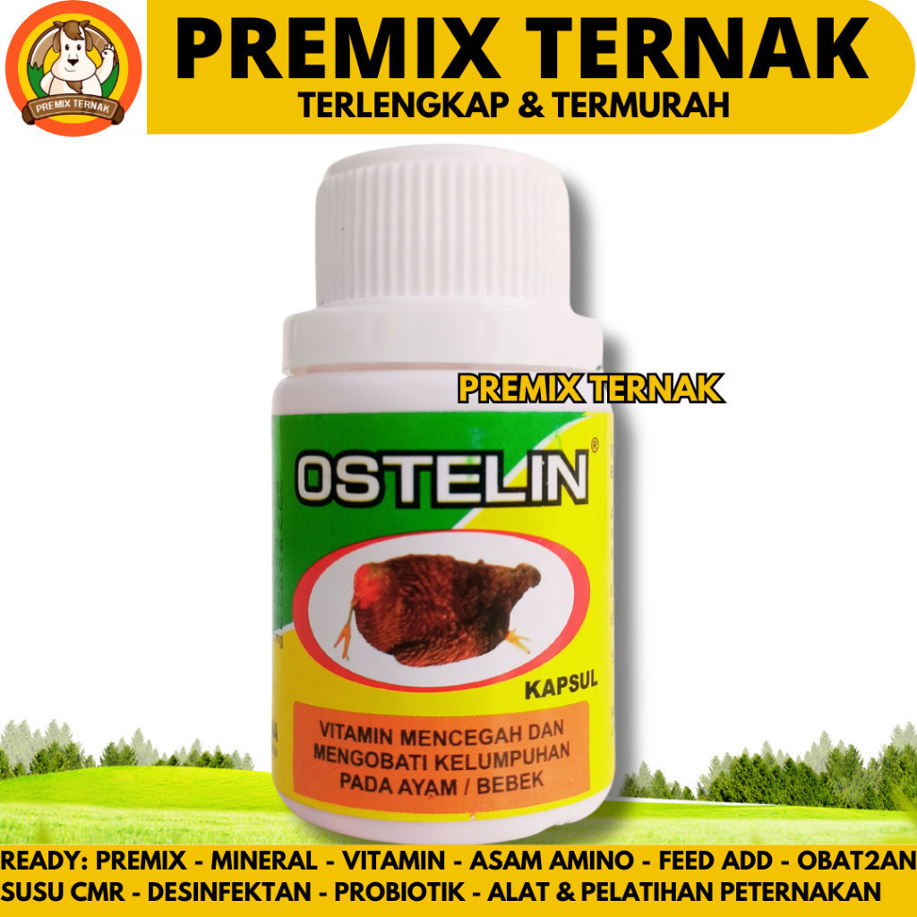 Jual OSTELIN AYAM 10 KAPSUL EKA FARMA Obat Ayam Lumpuh Obat Vitamin ...