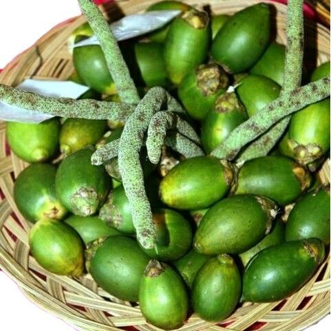 Jual buah pinang muda/buah pinang hijou segar berat 1 kg | Shopee Indonesia