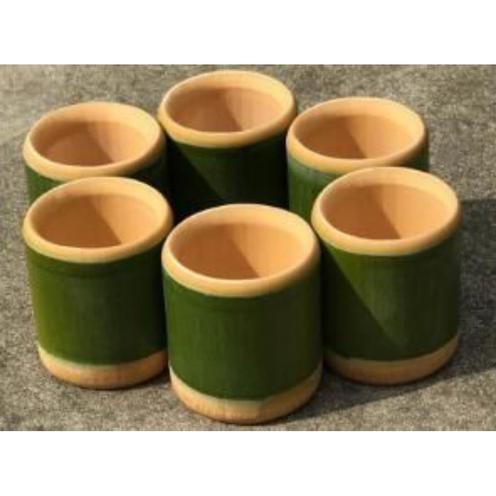 Jual gelas/cangkir bambu Hijau natural 6 pcs panjang 10 cm | Shopee ...