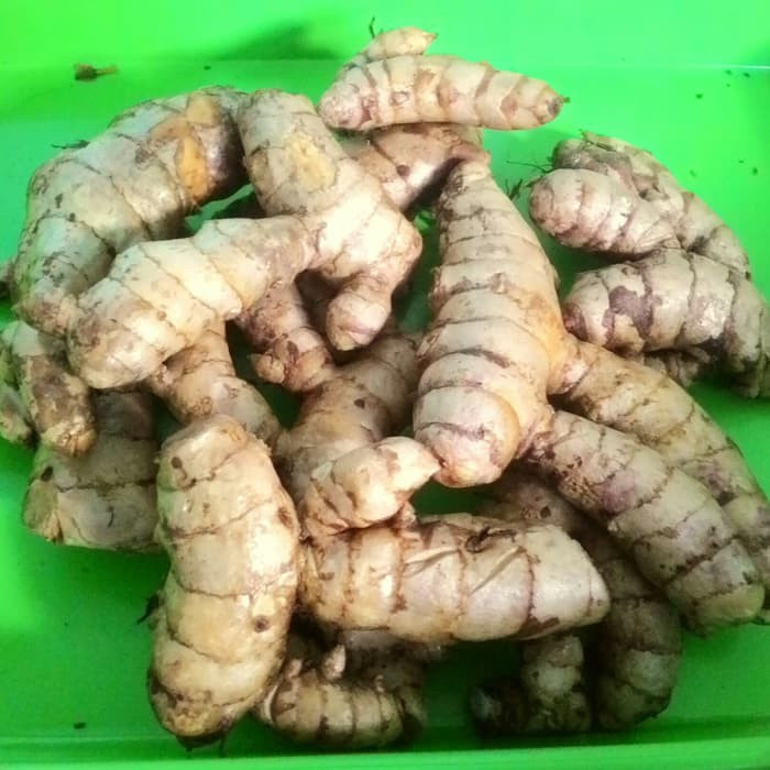 Jual TEMU IRENG atau TEMU HITAM segar super 1000 gram (P_G) | Shopee ...