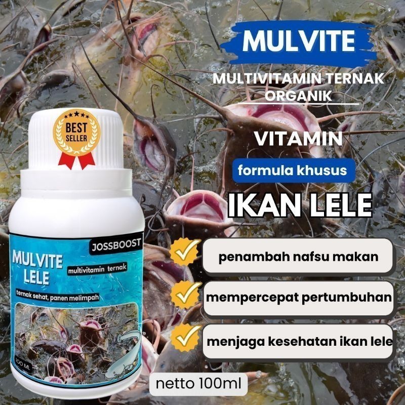 Jual MULVITE IKAN LELE, VITAMIN Ikan lele agar cepat besar 100 ml ...