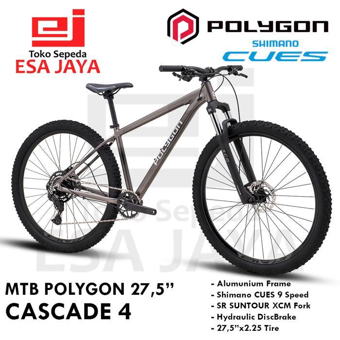 Jual Polygon Sepeda Terbaru Terlengkap & Harga Terbaru Juni 2026 ...
