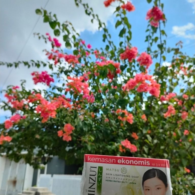 Jual Shinzui Harga Sabun Batang Terlengkap & Harga Terbaru Juni 2026 ...