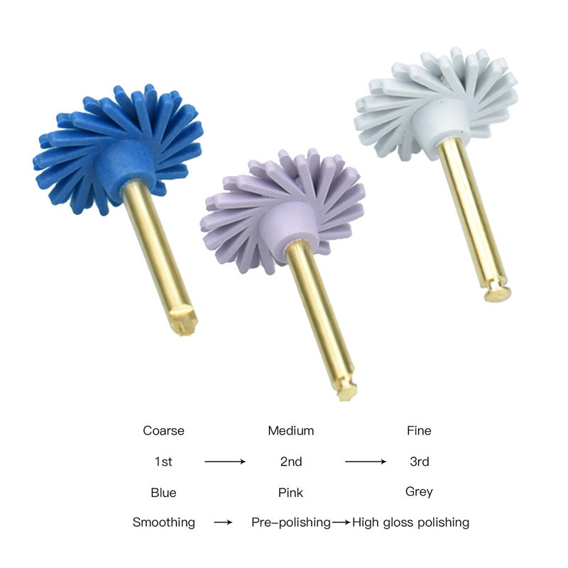 Jual 6PCS Dental Rotary Polishing Instruments Kit - Composite Resin ...