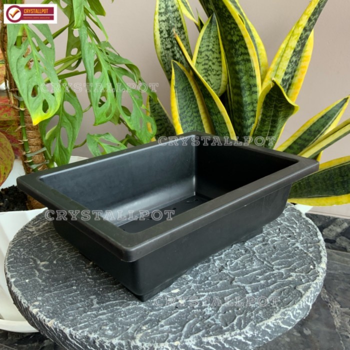 Jual POT BUNGA TANAMAN CEPER NKT BONSAI 01 HITAM - NKT BONSAI 01 HITAM ...