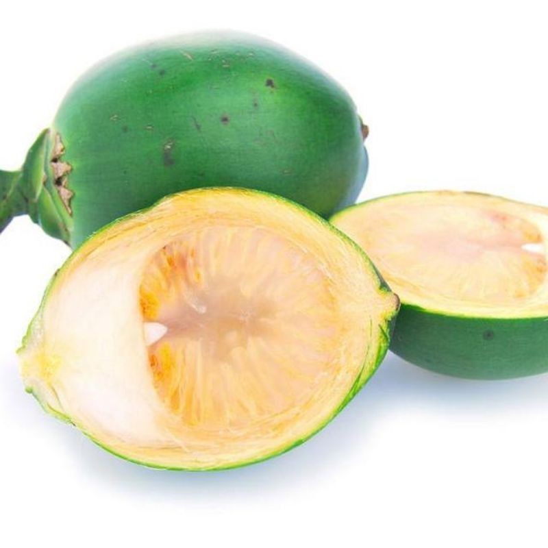 Jual PINANG MUDA JAMBE MUDA PER 1kg | Shopee Indonesia