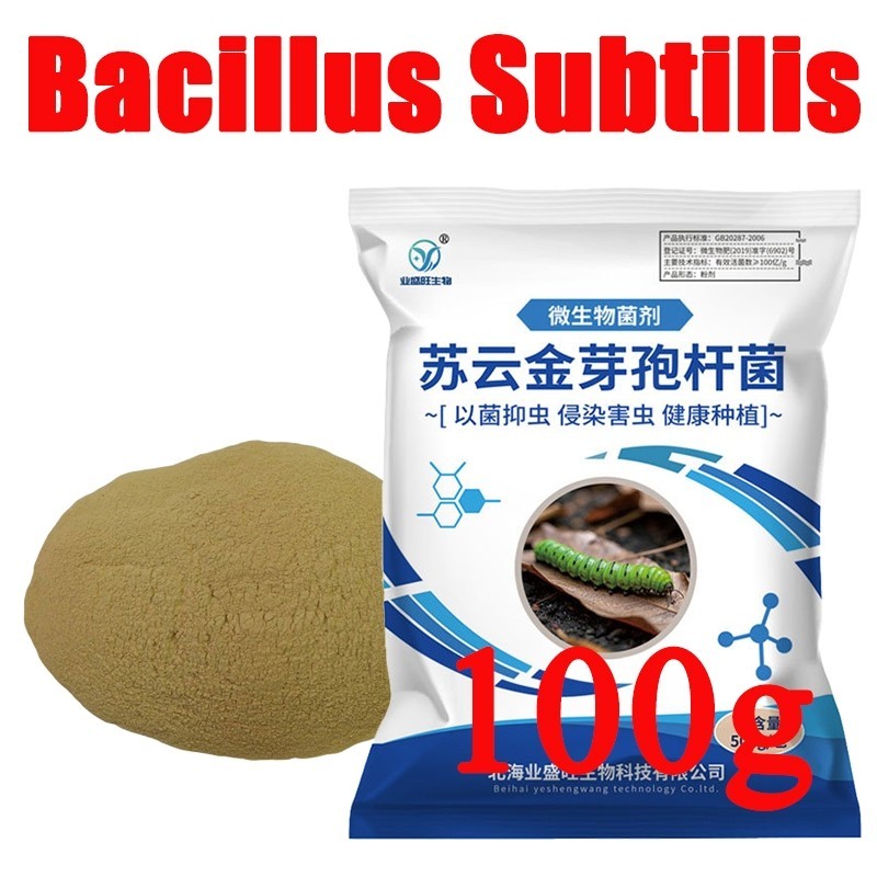 Jual 100g Bioinsektisida Bacillus Thuringiensis B-Tox | Shopee Indonesia
