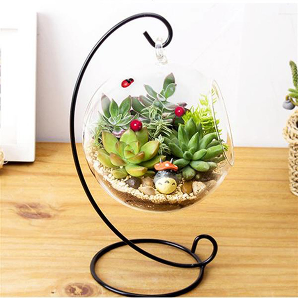Jual Hanging Glass Terrarium Clear Large Glass Vase With 9 Inch Metal ...