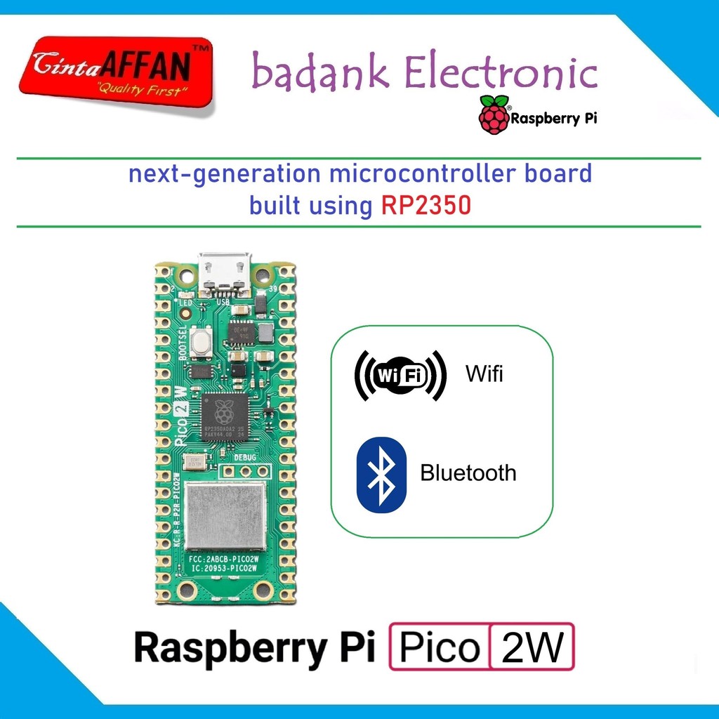 Jual Raspberry Pi Pico 2W - with Wireless & Bluetooth Onboard | Shopee Indonesia