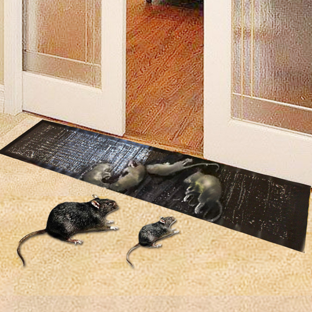 Jual 1.2M Mousetrap Efficient Sticky Mouse Board Super Strong Big Rat ...