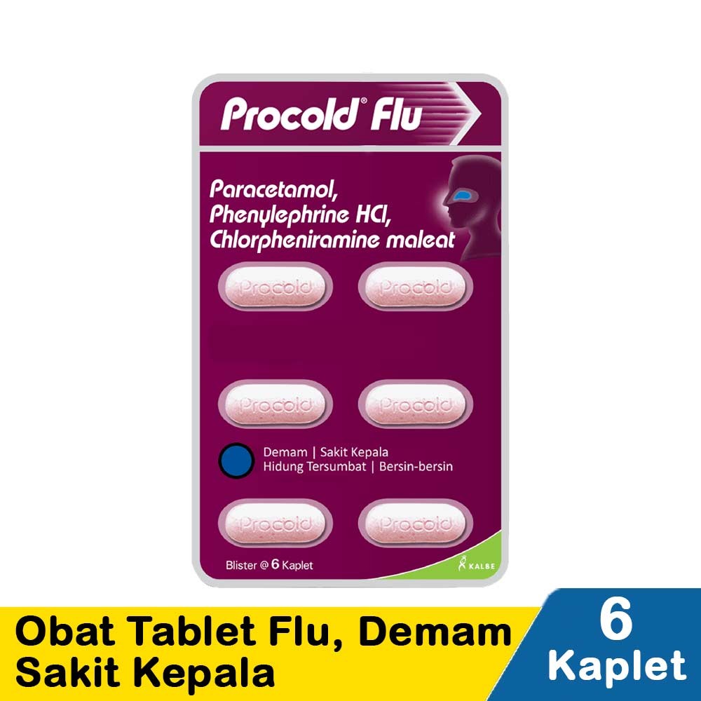 Jual PROCOLD TABLET FLU 6'S | Shopee Indonesia