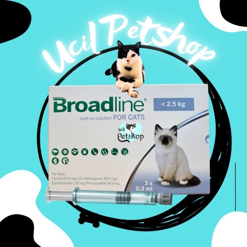 Jual Broadline Cat S for Kitten & Adult BB