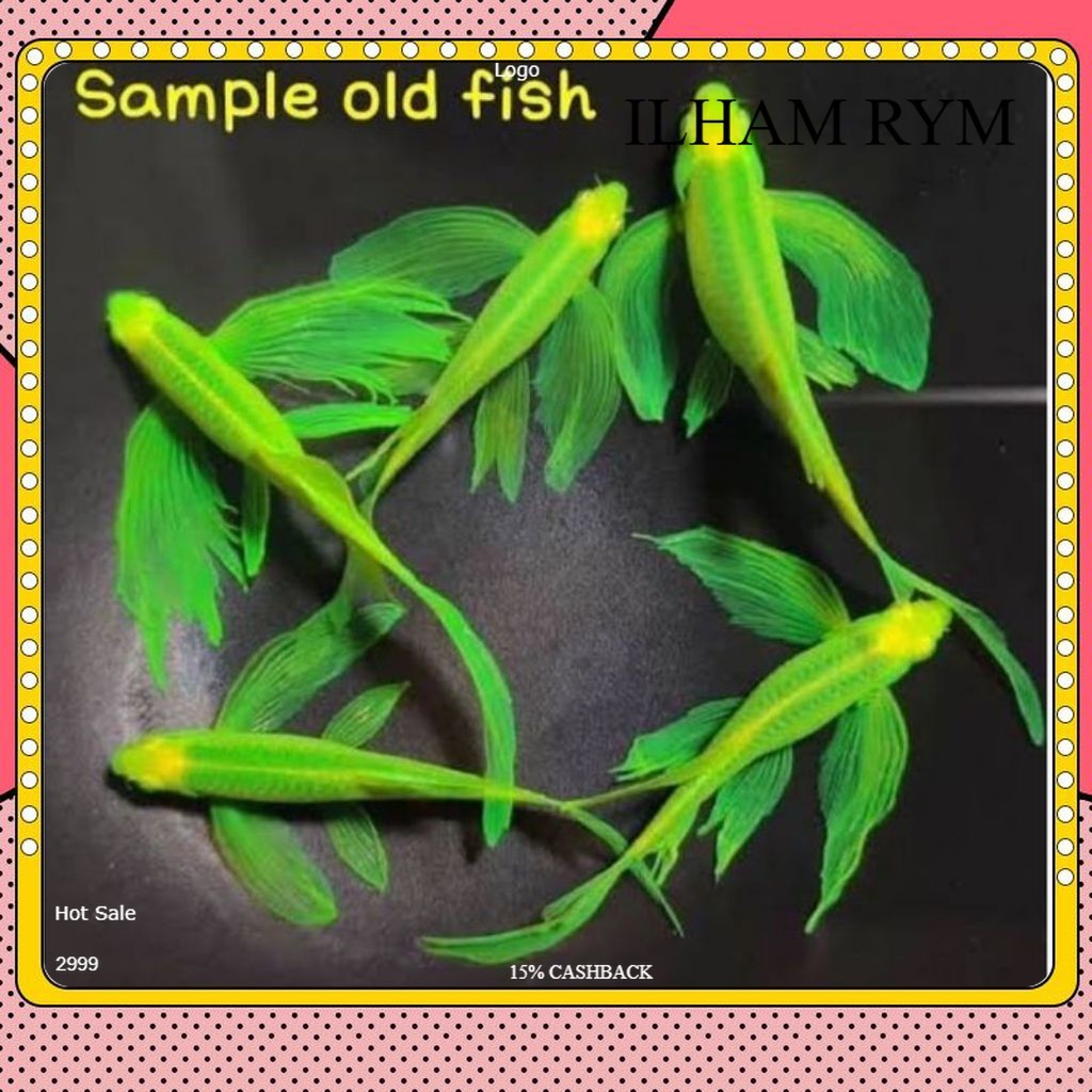 Jual DANIO SLAYER FULL HIJAU bergaransi tanpa ERATOR/filter | Shopee ...