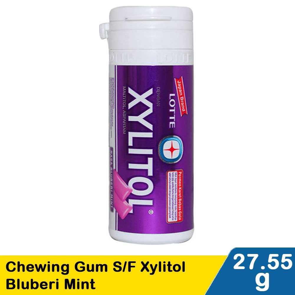 Jual LOTTE CHEWING GUM S/F XYLITOL BLUBERI MINT 26.1g | Shopee Indonesia