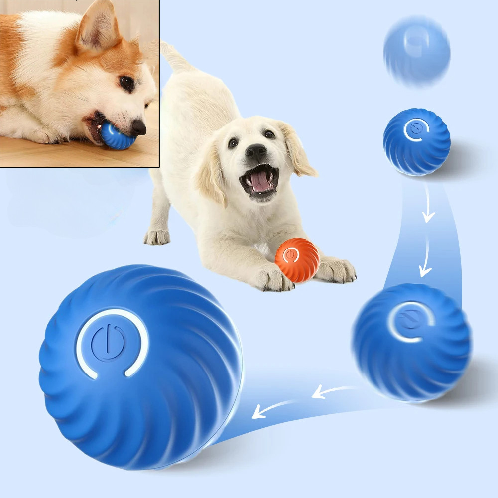 Jual Dog Toy Ball Automatic Moving Bouncing Rolling Ball USB Smart ...