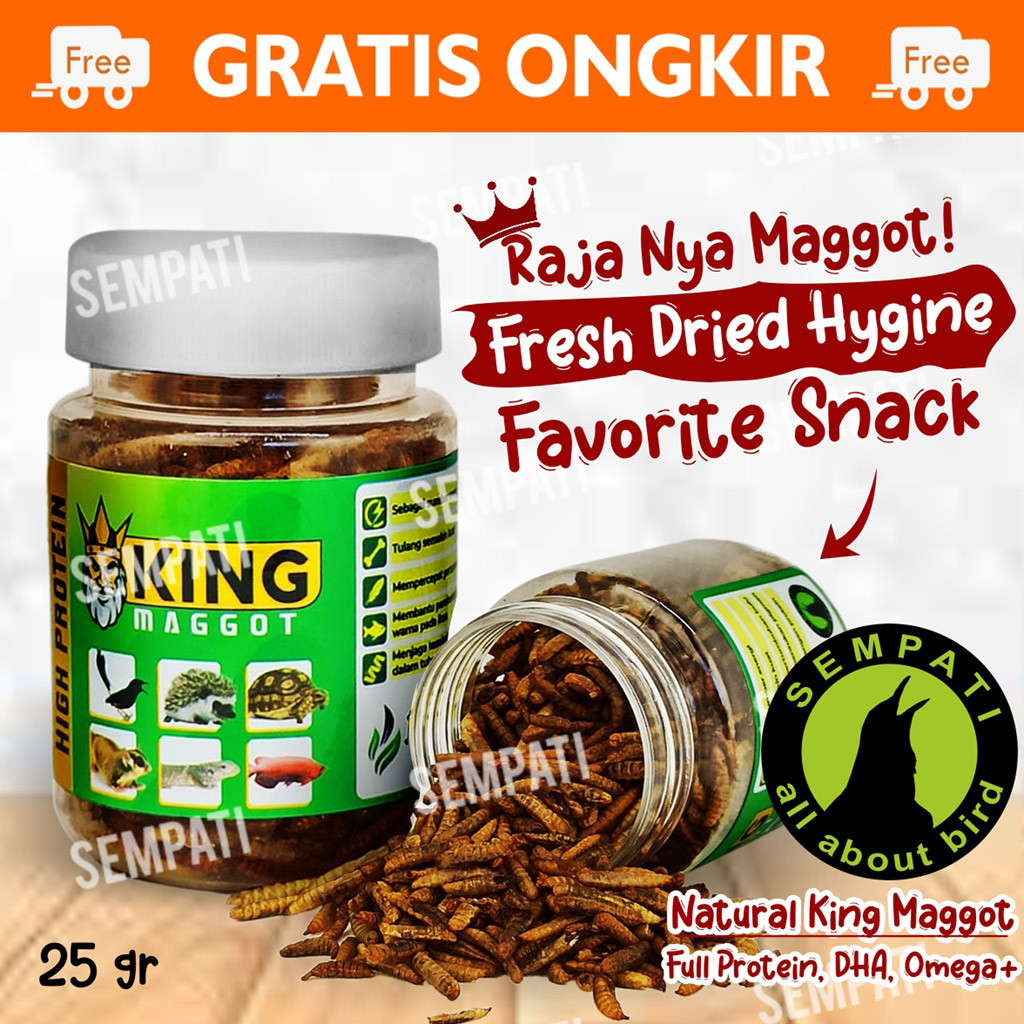 Jual SEMPATI KING MAGGOT BSF SUPER MAGOT MAGGOT KERING DRY FRESH MAGOT ...