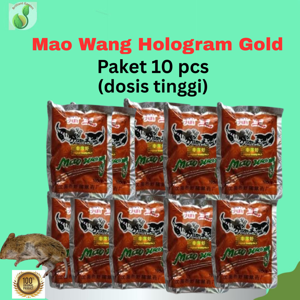 Jual PAKET 10 PCS RACUN TIKUS MAO WANG/MAOWANG BERAS HOLOGRAM GOLD ...