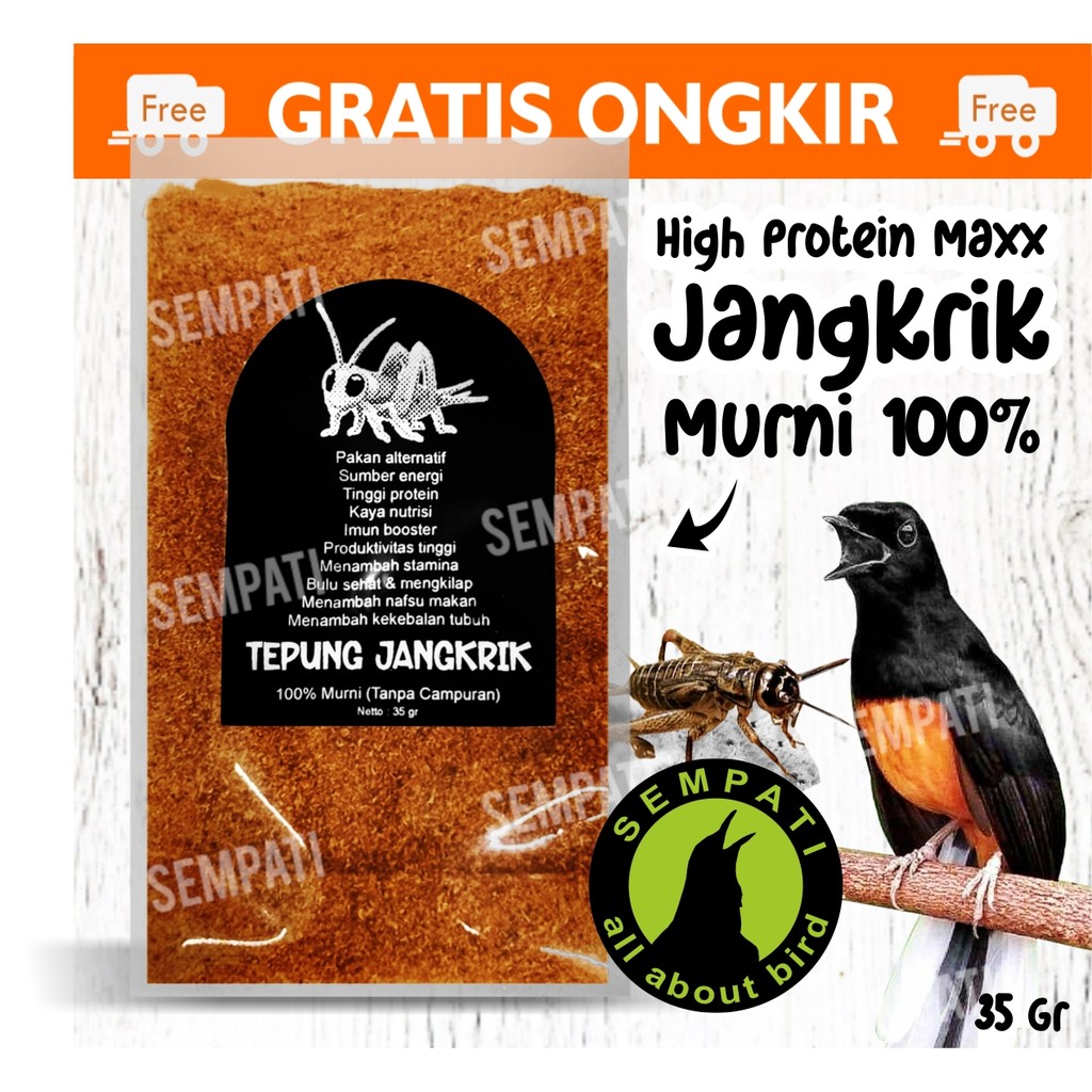 Jual SEMPATI TEPUNG JANGKRIK MURNI PAKAN BURUNG ANIS MURAI KACER DLL ...