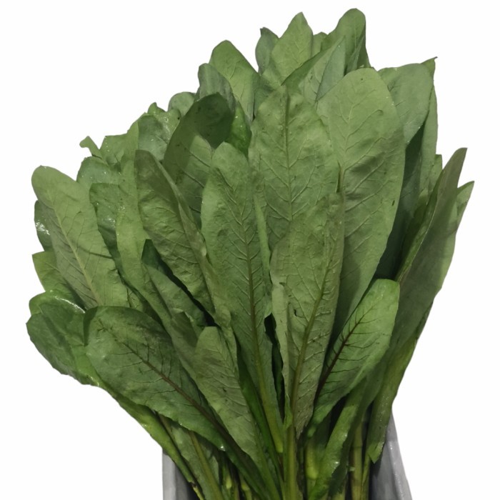Jual Sayur Fumak Kumek Kumak Lindung cah Fumak bukan SIOMAK | Shopee ...