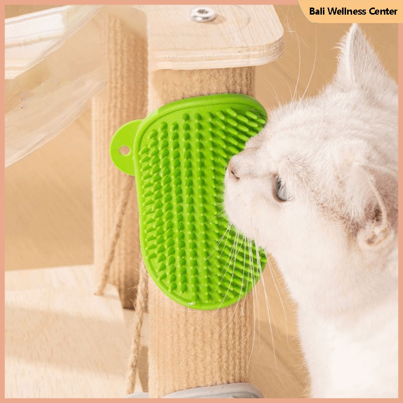 Jual Alat garukan kucing untuk hewan peliharaan, papan garukan kucing ...