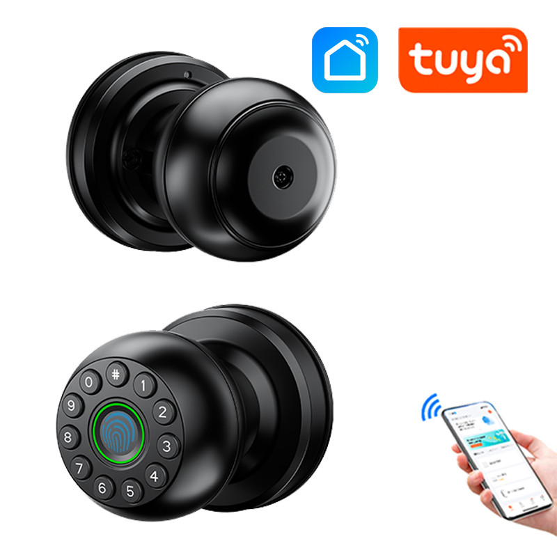 Jual Tuya SmartLife APP Remote Control Smart Fingerprint Password Ball ...