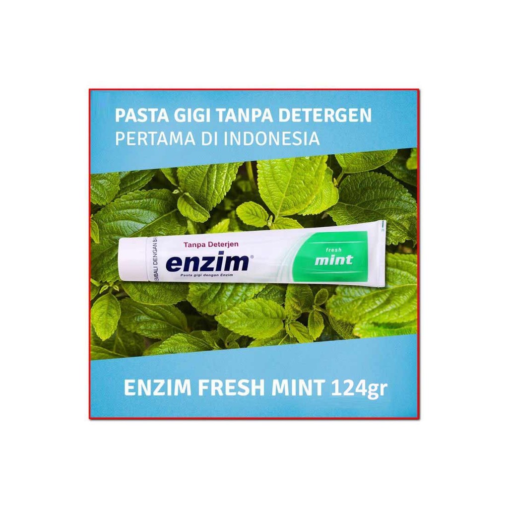 Jual ENZIM PASTA GIGI FRESH MINT 124g | Shopee Indonesia