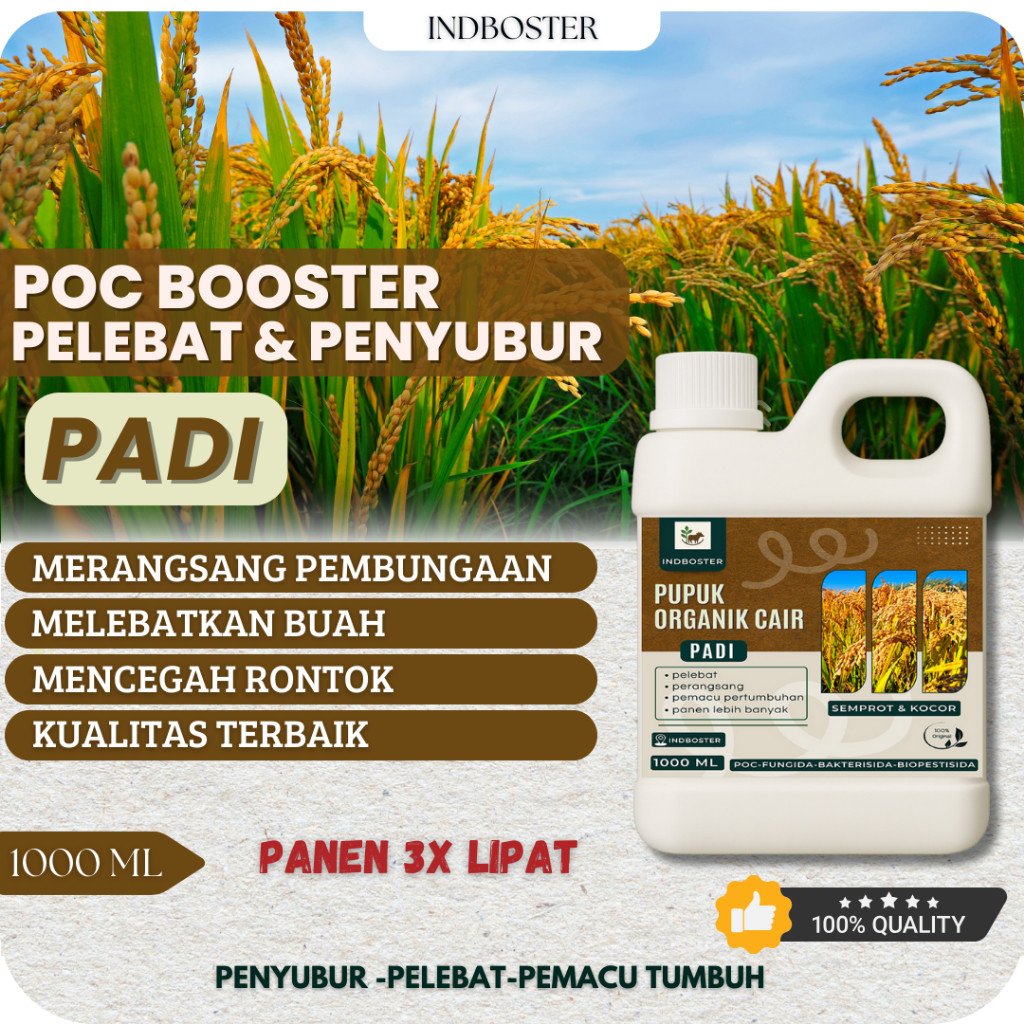Jual Pupuk Booster Padi / Pupuk Cair Padi / Pupuk Semprot Untuk Tanaman ...
