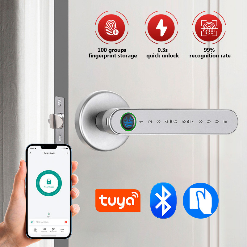 Jual Tuya APP Smart Fingerprint Door Lock Biometric Door Lock with ...