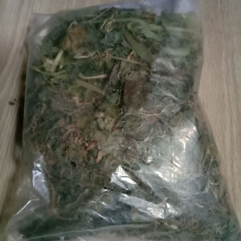 Jual DAUN SIRIH CINA KERING ORIGINAL 100% | Shopee Indonesia