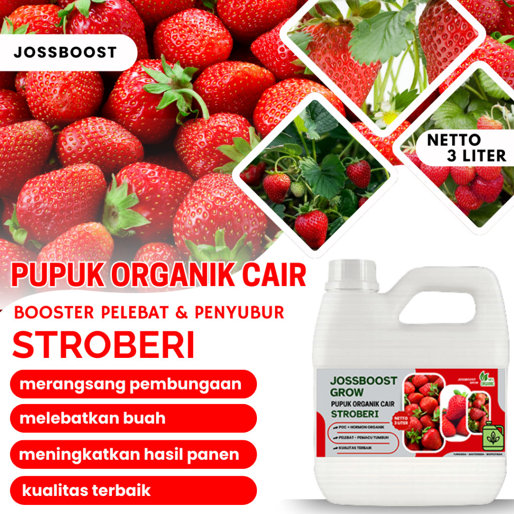 Jual Pupuk Organik Cair JossBoost Grow Khusus Tanaman STROBERI- Nutrisi Lengkap untuk Hasil ...